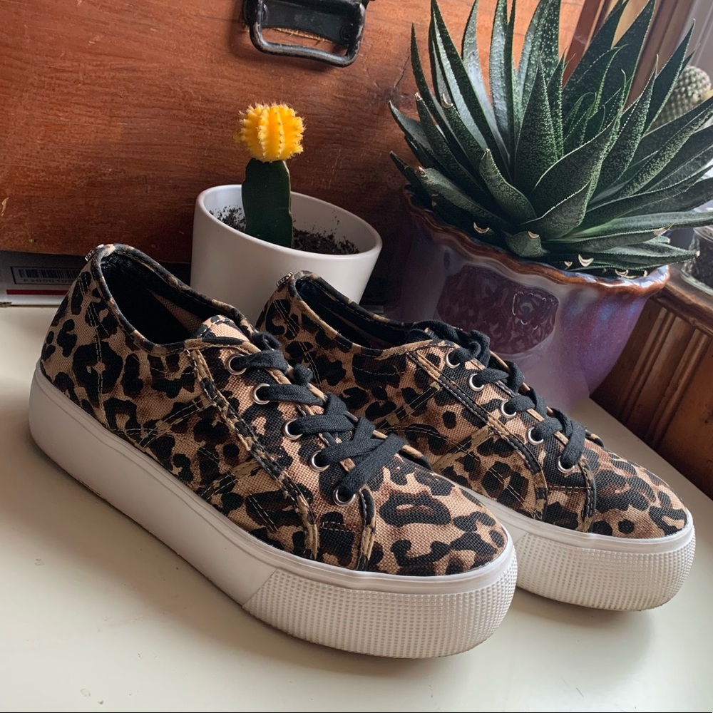 Steve Madden Emmi Stacked Animal Print Sneaker Shoe - Gem